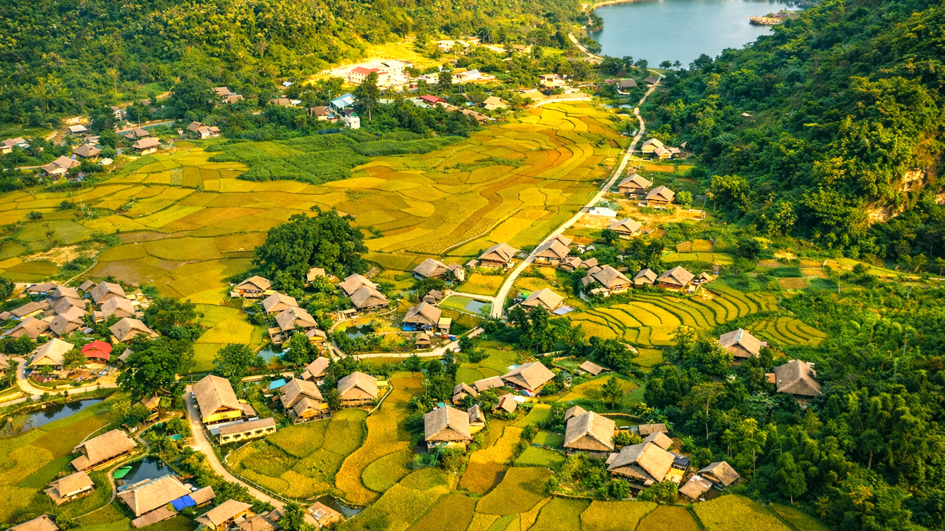 Ha Giang Village Vietnam Terraced Rice Fields
