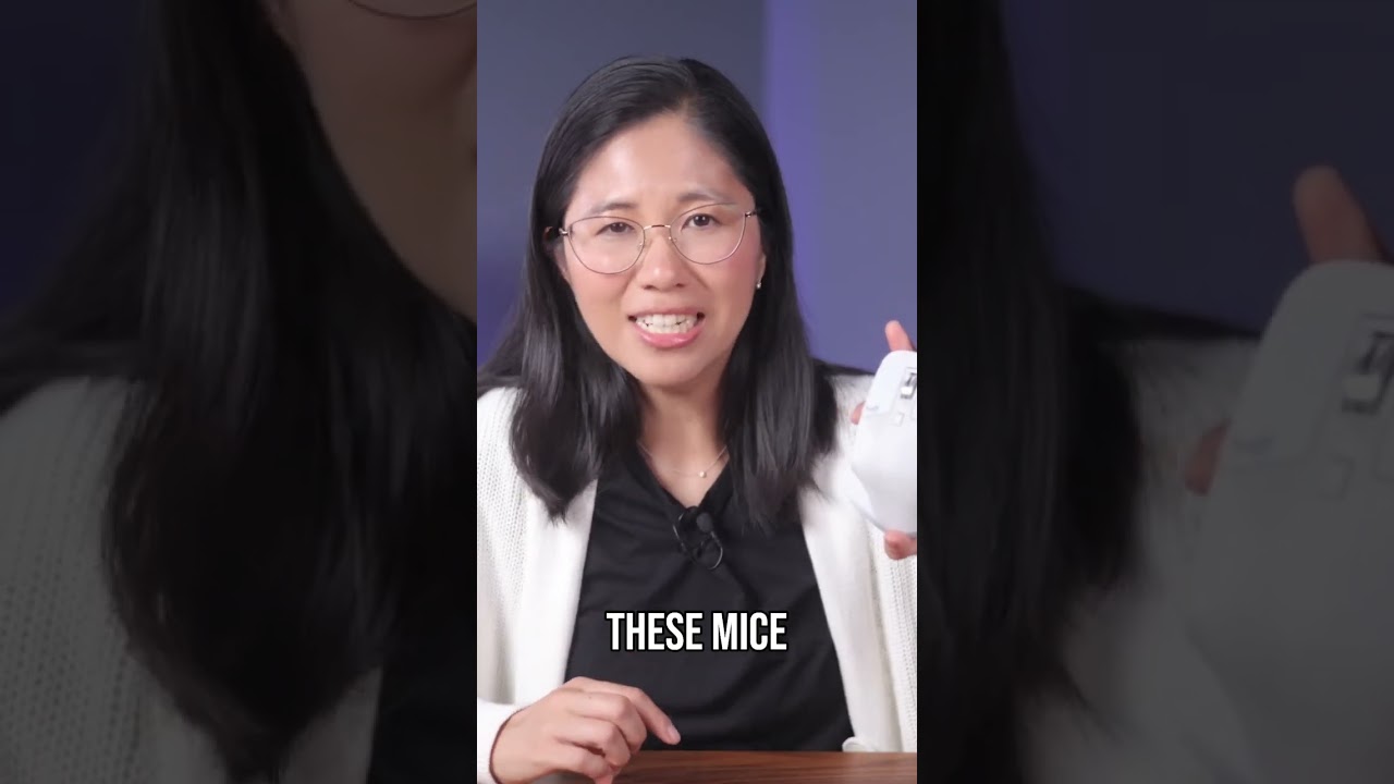 Discover the perfect combination of a reliable mouse and the best ...