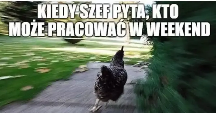 Piątek! Ukochany dzień Polaków. Zobacz najlepsze memy na piątek i na ...
