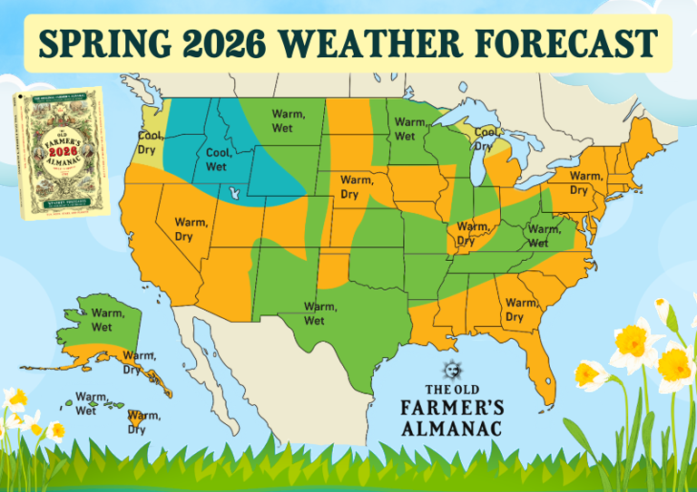 When does spring start in 2026? Exact time for the spring equinox