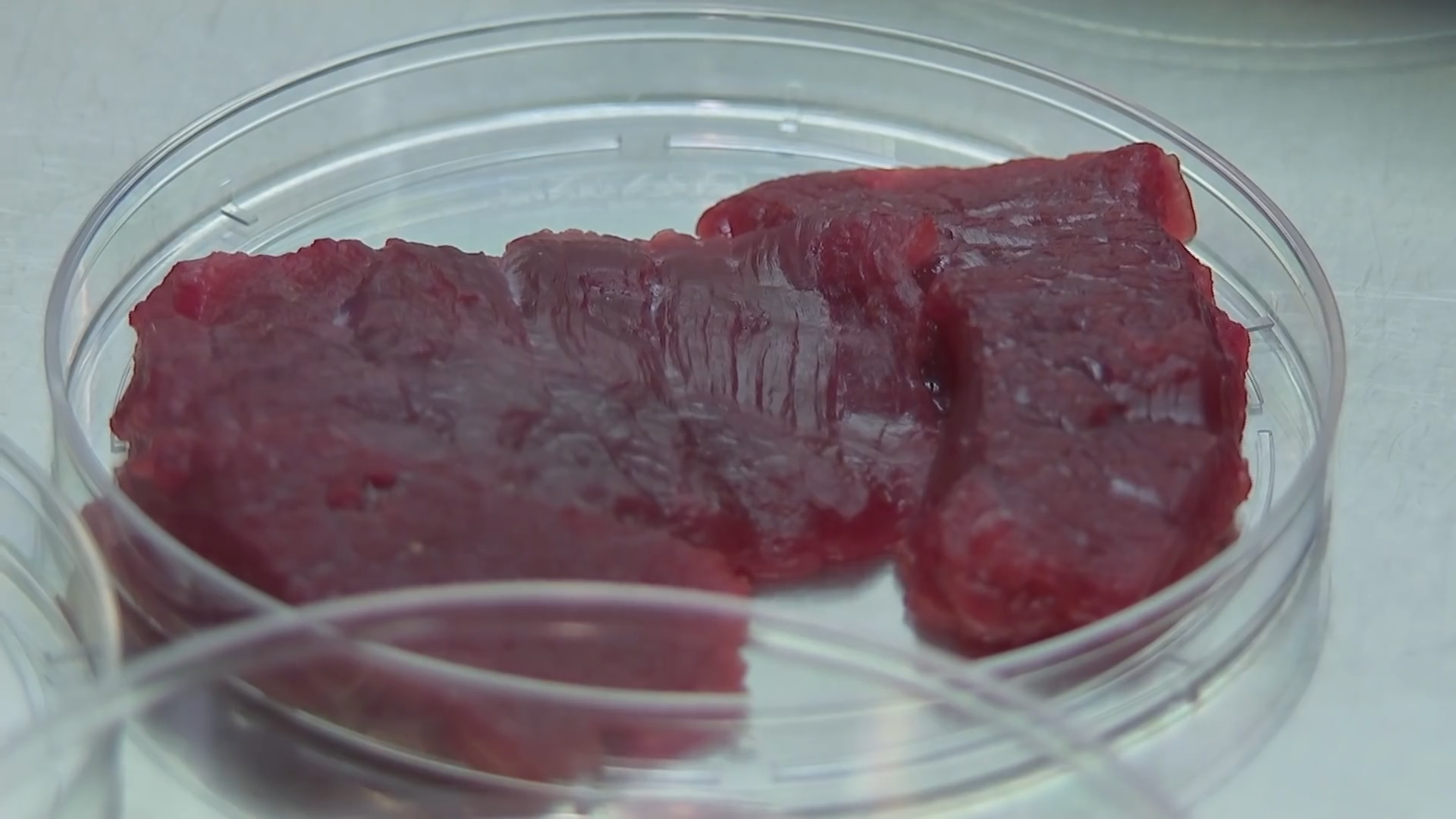 This is meat made from cells, not a farm - what are we really eating?
