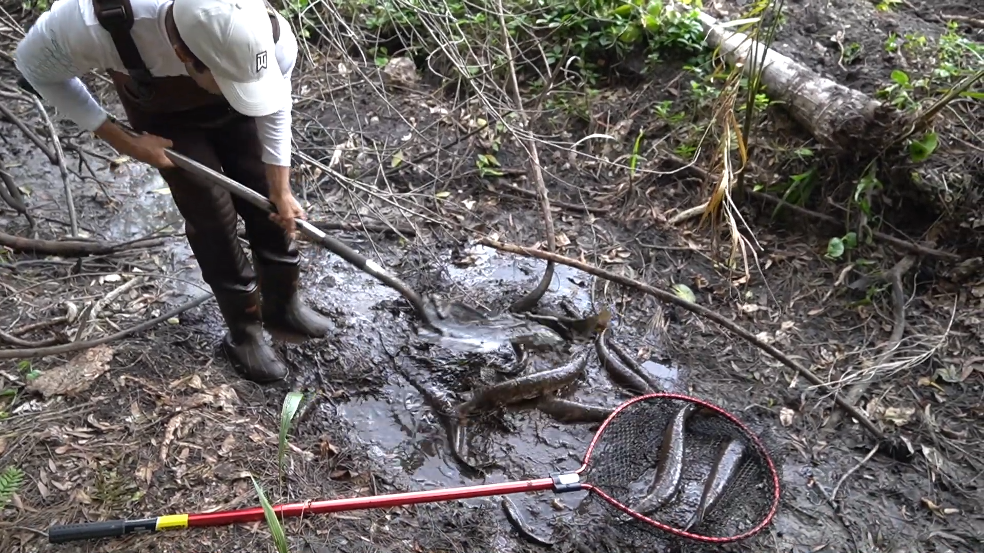 How we went underground to rescue tons of lost fish