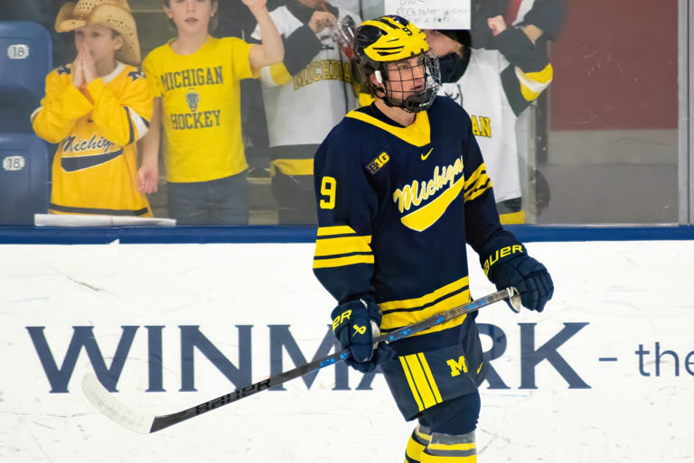 Maple Leafs prospect checkpoint: How has Nick Moldenhauer fared through ...