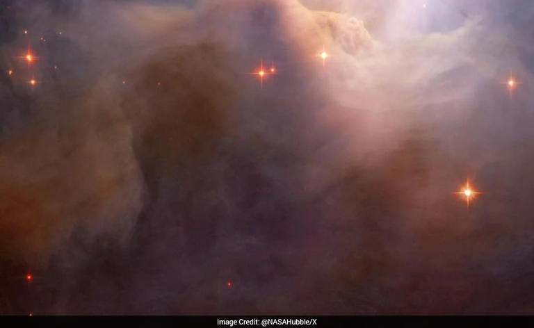NASA shares stunning image of Iris Nebula, a blue and pink flower in space