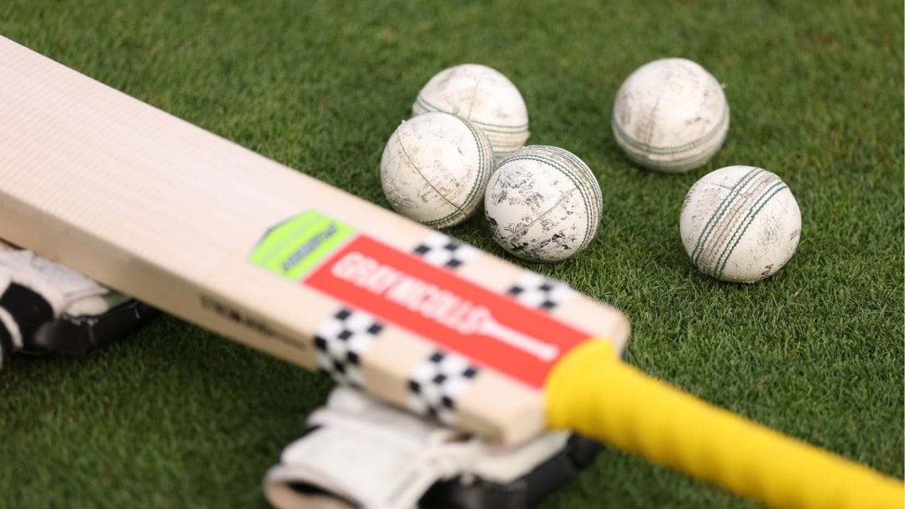 Shocking! Umpire dies after bee attack during cricket match in Kanpur