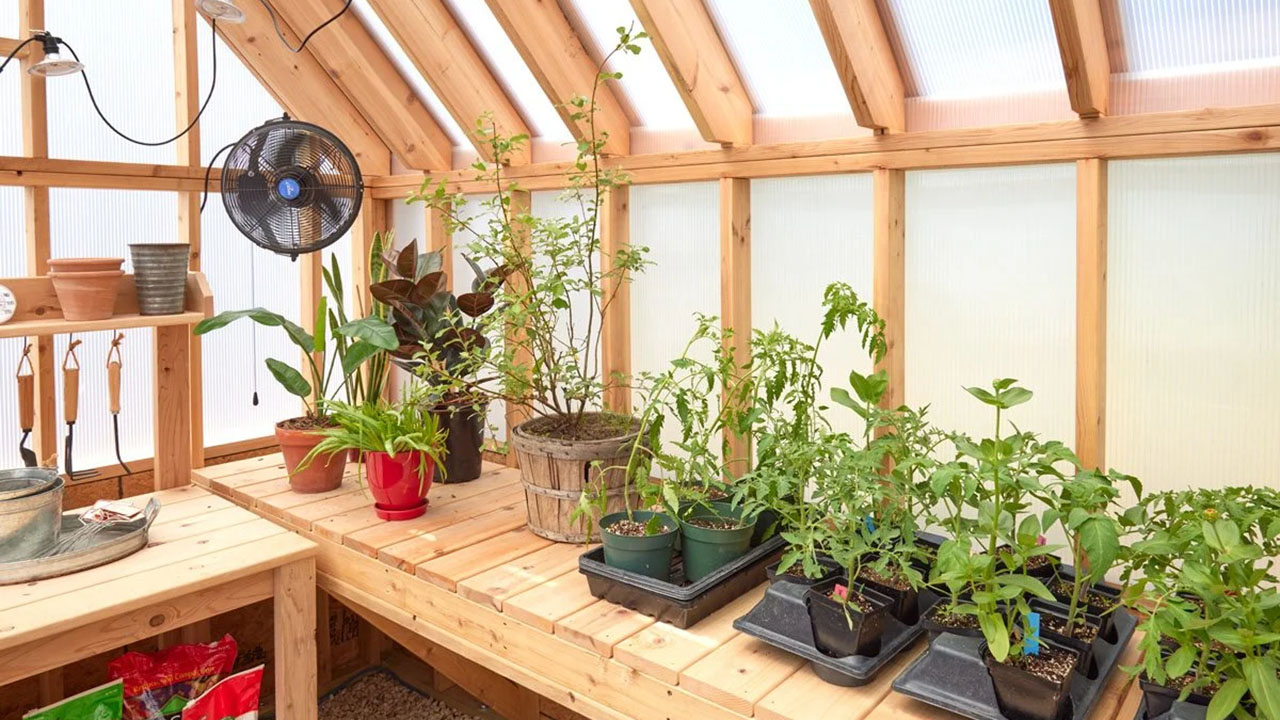 8 gardening tips for making sure your greenhouse is ready for summer