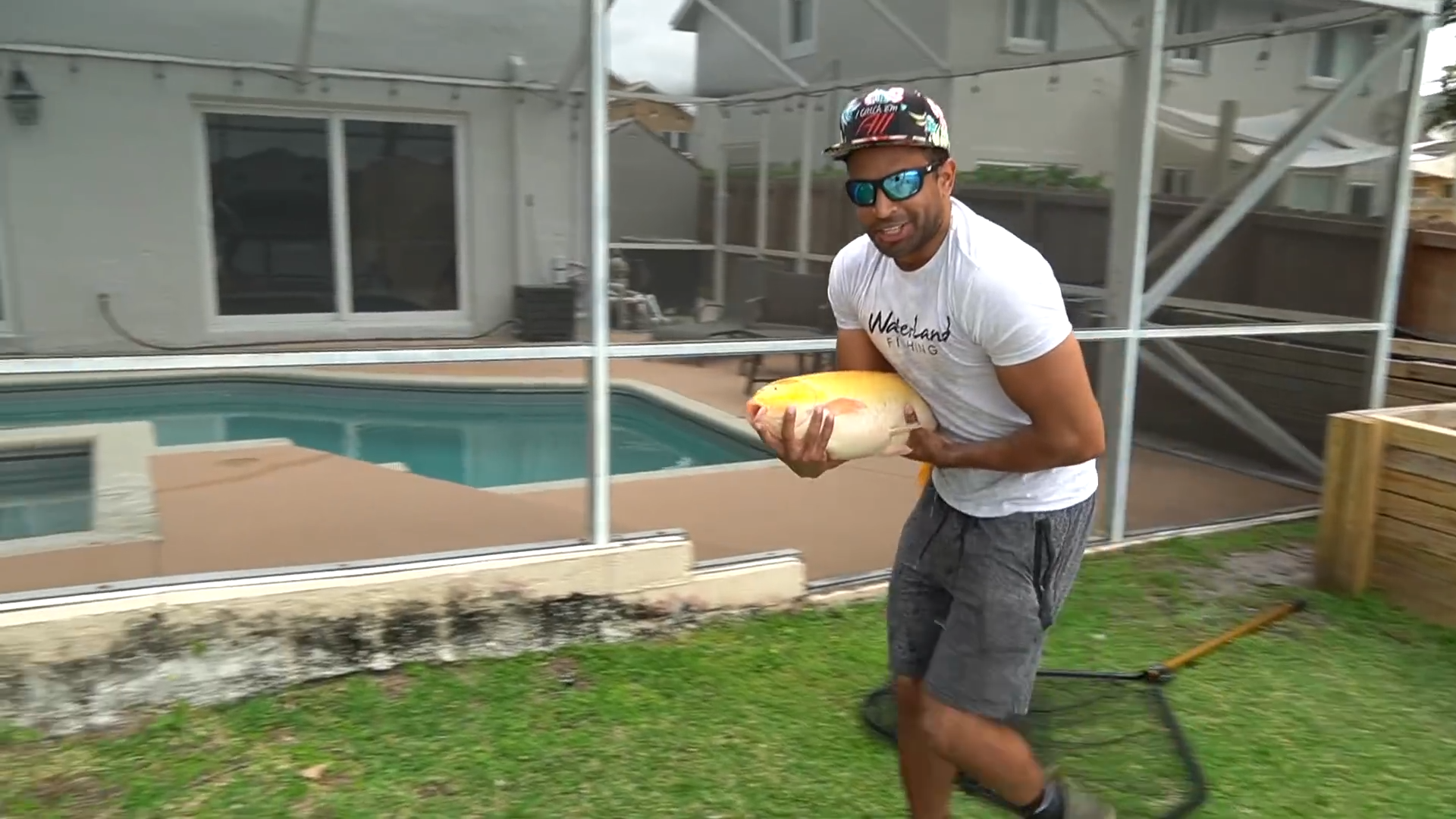What happens during DIY parasite removal on a pond fish