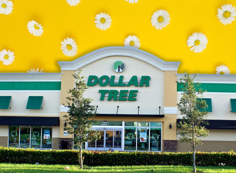 11 Dollar Tree spring finds shoppers call hidden gems