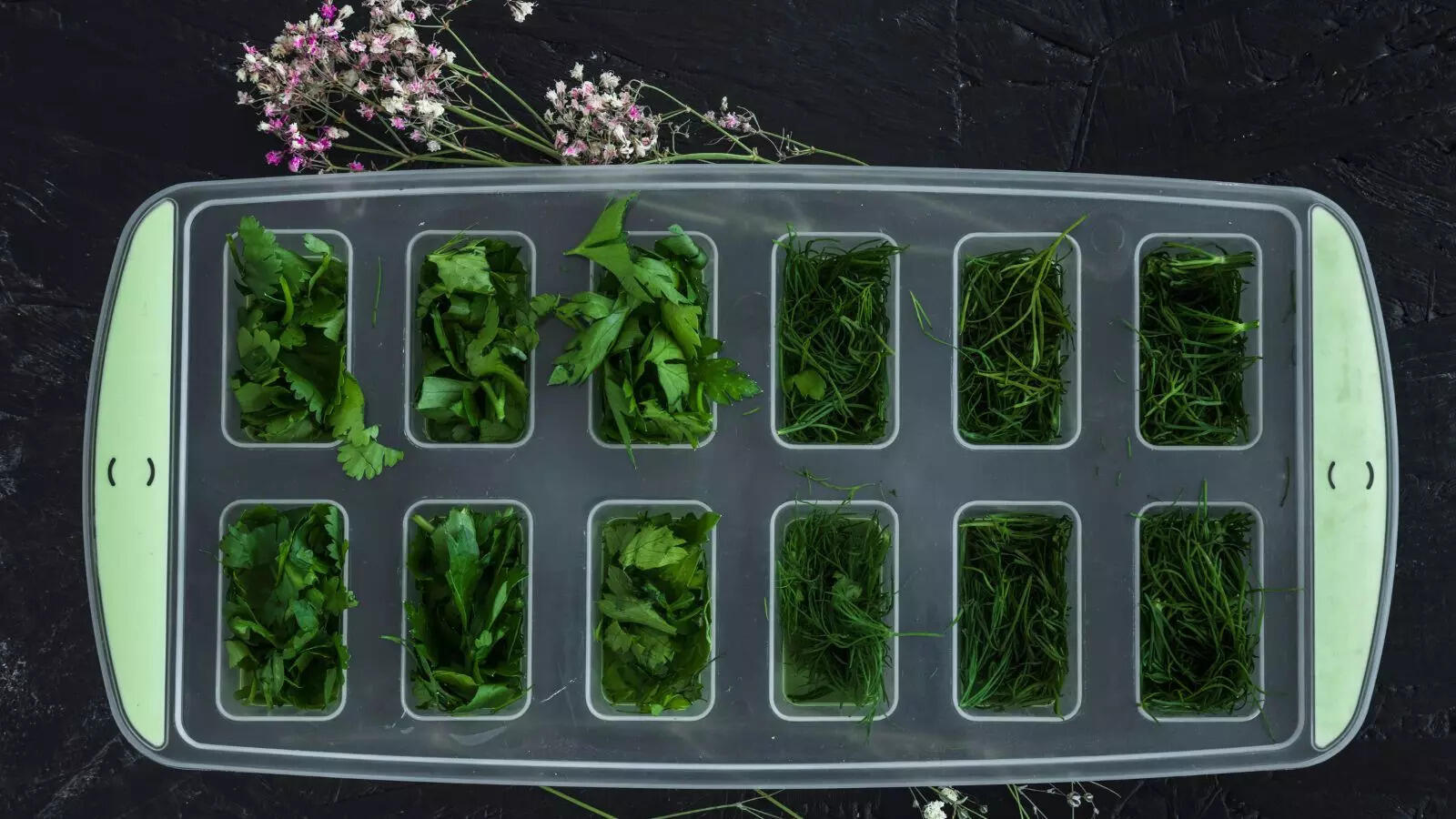 10 best herb storage tips to preserve fresh herbs