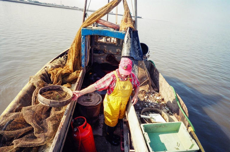 26 years on: colourful pictures catch Morecambe Bay shrimp fishers in ...