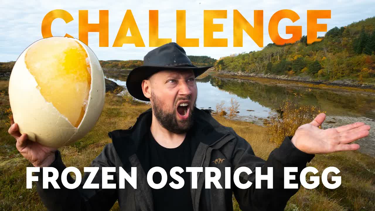 The omelette from hell: How a frozen ostrich egg turned into a cooking ...