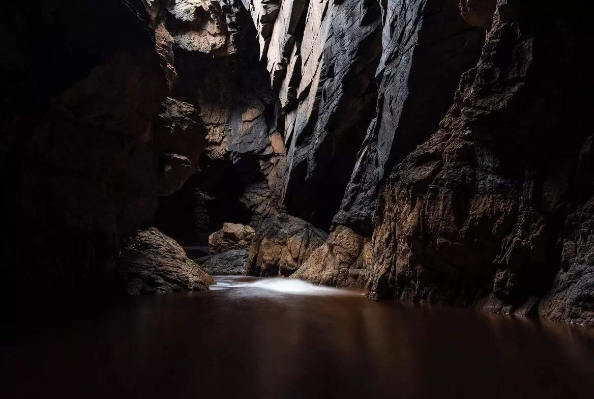 The deepest cave on Earth: How does life survive there?