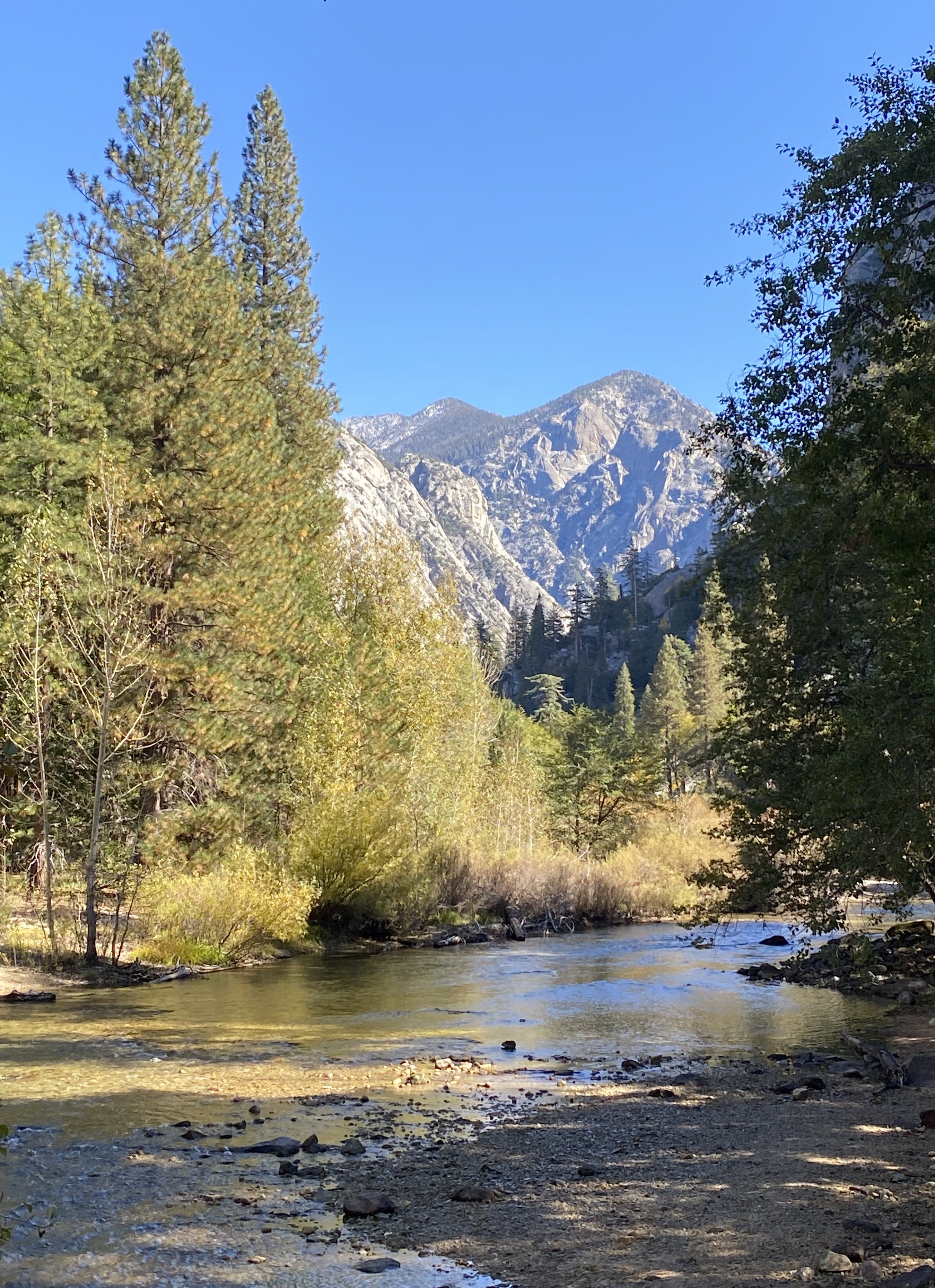 Bay Area couple dies at Roaring River Falls in Kings Canyon