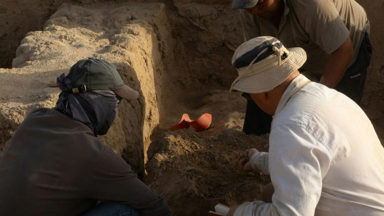 Emergency excavations along Normandy's coast uncovered a sealed clay ...