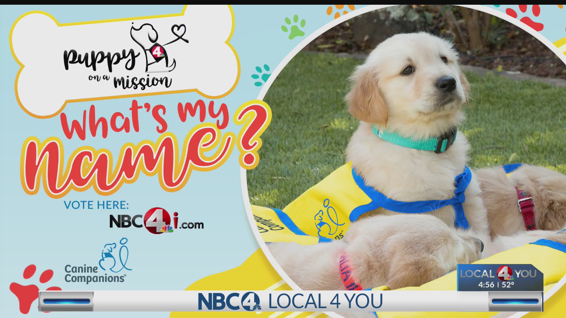Help NBC4 name its next puppy on a mission