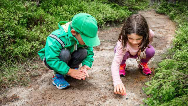 Ideas and gear recommendations for getting the family outside more in 2026