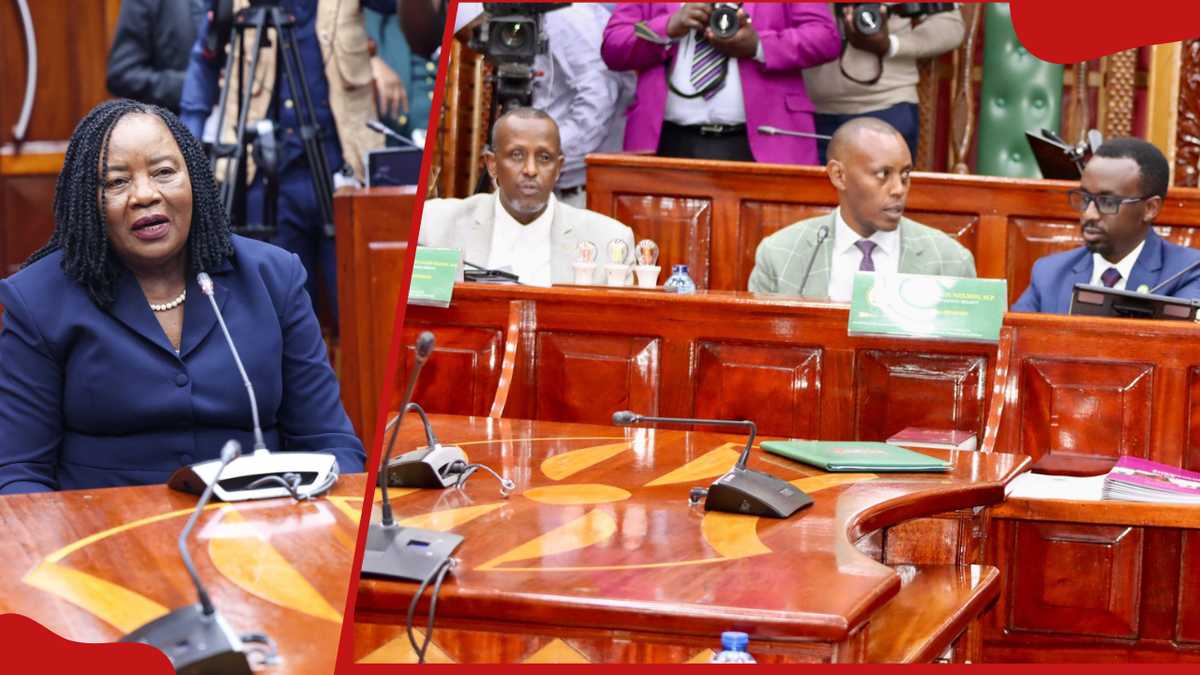 National Assembly committee chairman cautions members against praising ...