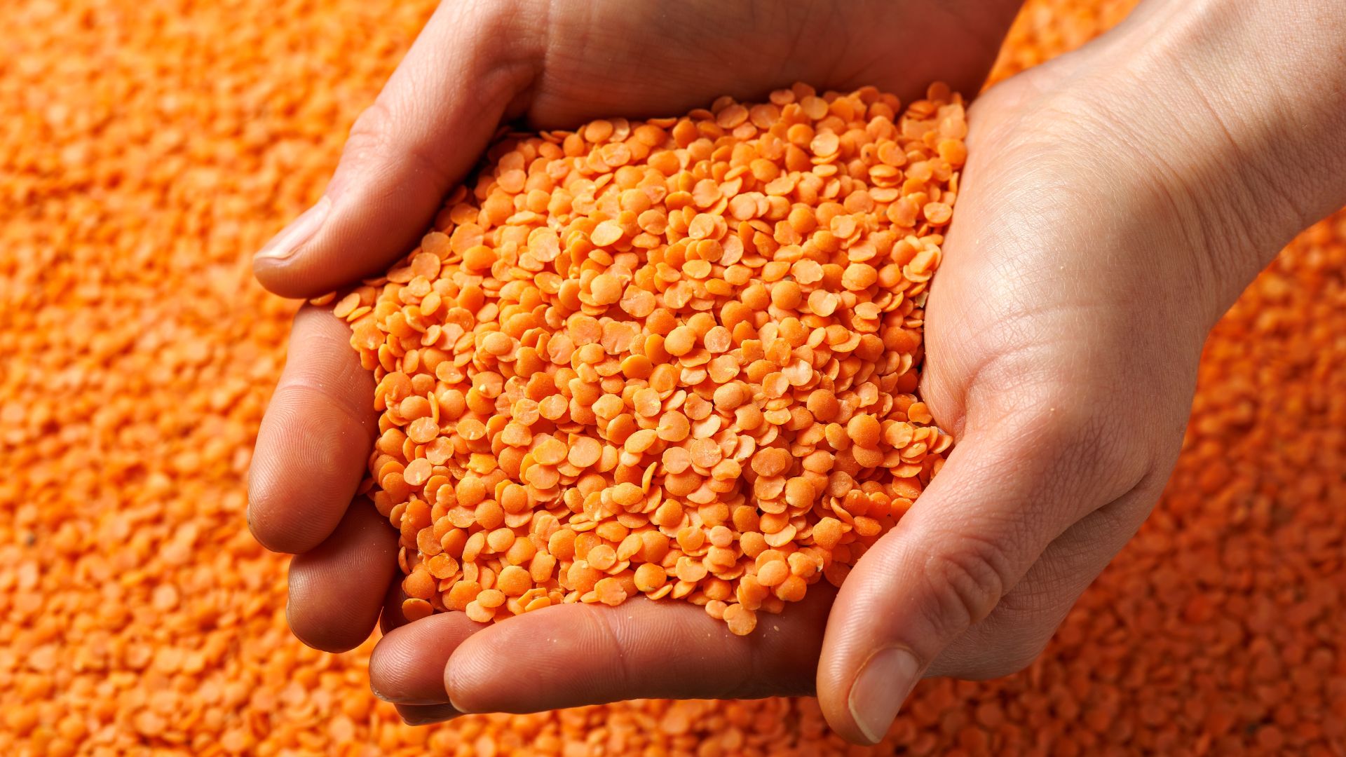 What adding more lentils to your meals may mean for your body