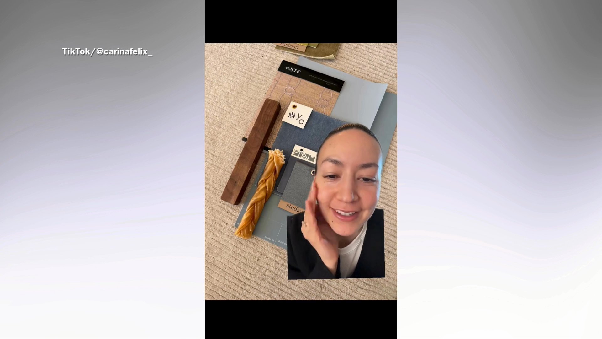 Interior designer snaps pictures of work, dog has important addition