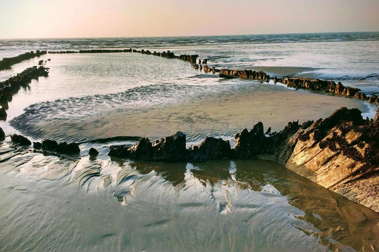 Rare chances to view historic Sussex shipwreck