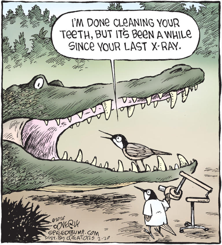 The latest comic strips from the Creators Syndicate (2/20)