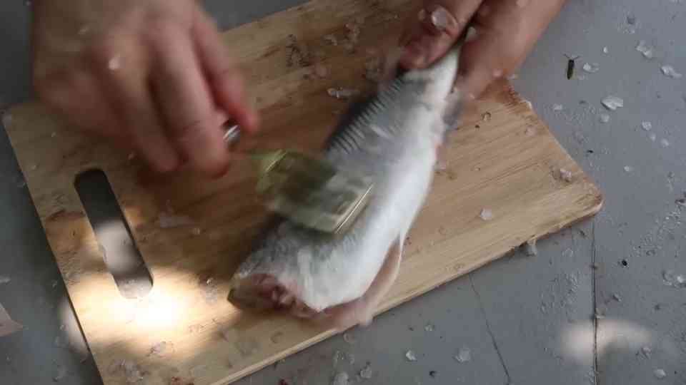 Don't buy this - the fish gadget that failed instantly