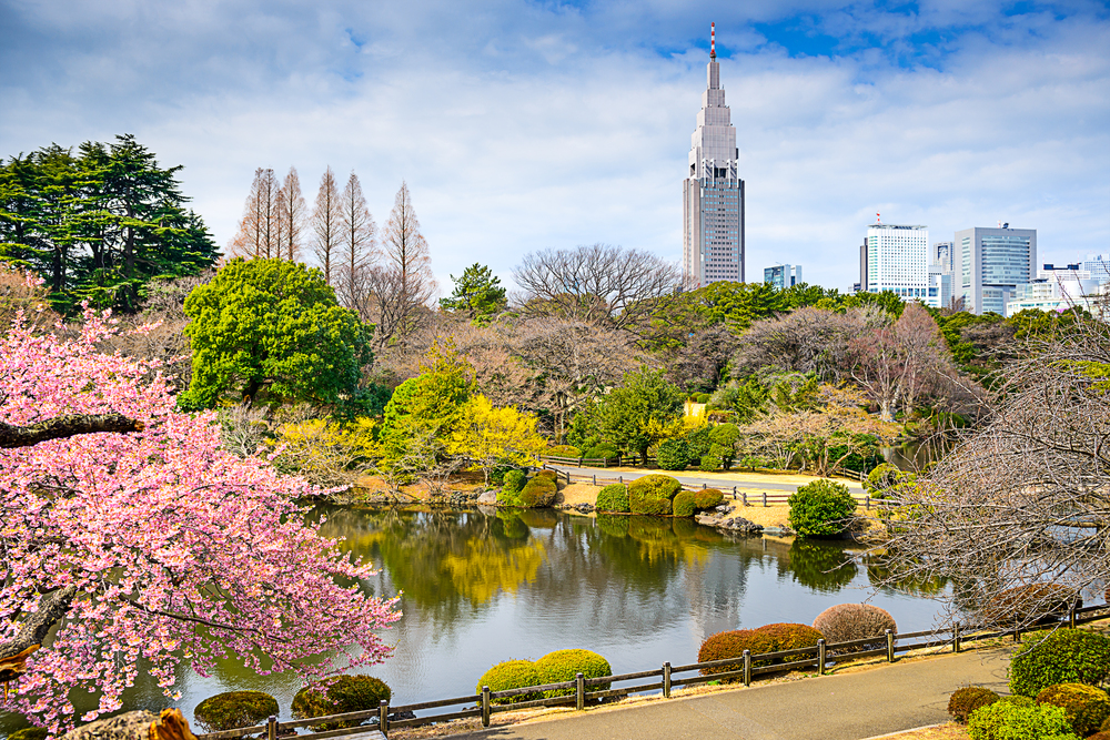 15 family-friendly parks in Tokyo perfect for relaxing days