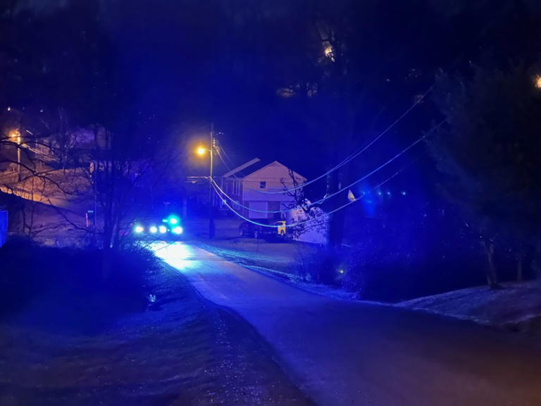 Police: 3 dead identified in suspected Nicholas County double murder ...
