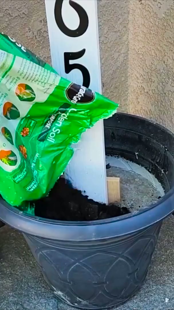 Curb appeal hack