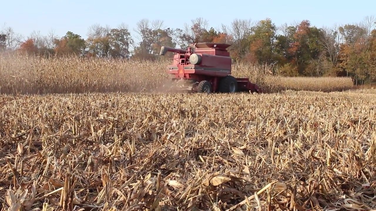 Farmers weigh Trump’s $12 billion bridge aid