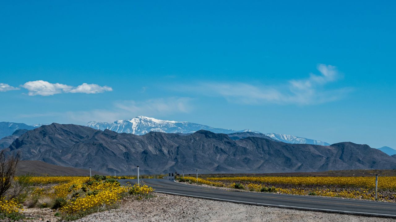 12 US tourist areas with rising public safety warnings