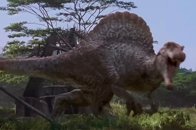 Skull of 'dinosaur from hell' discovered with sword jutting from its head