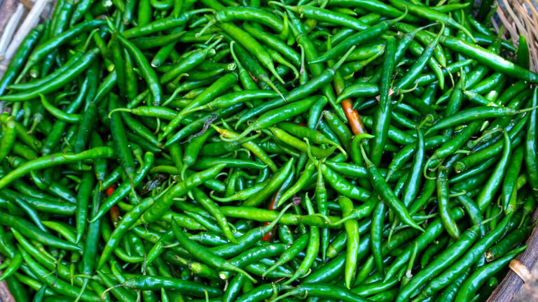 Which country is the largest producer of green chillies in the world?