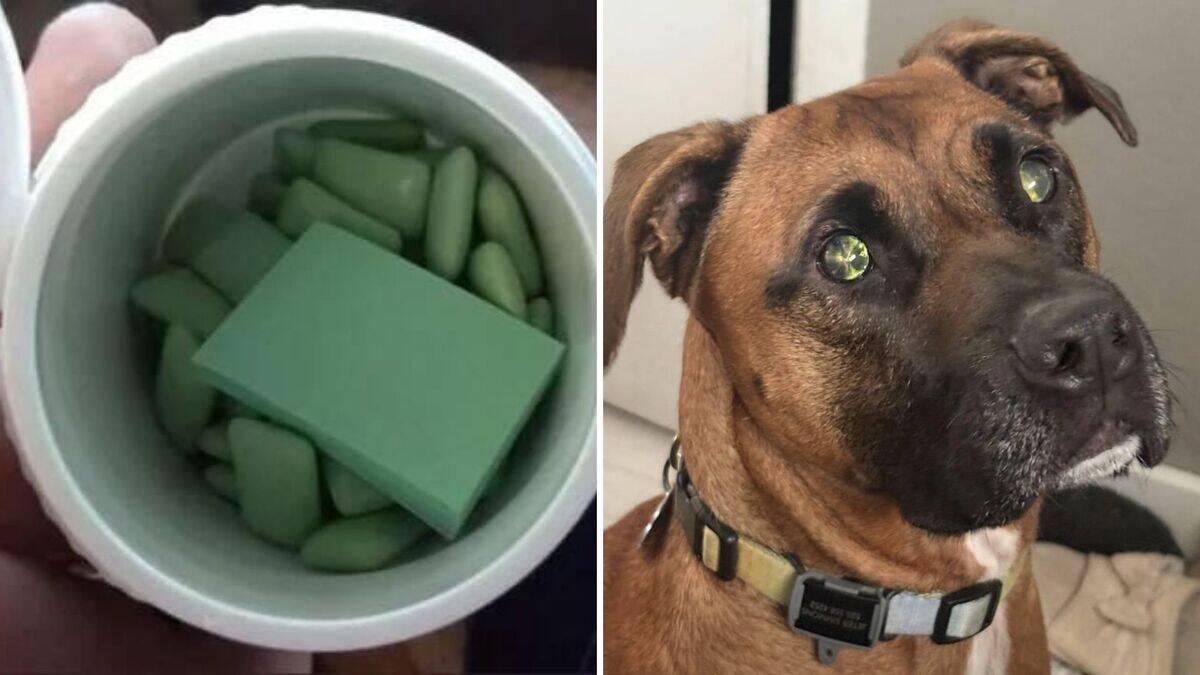 60+ photos shared online that captured life's interesting moments
