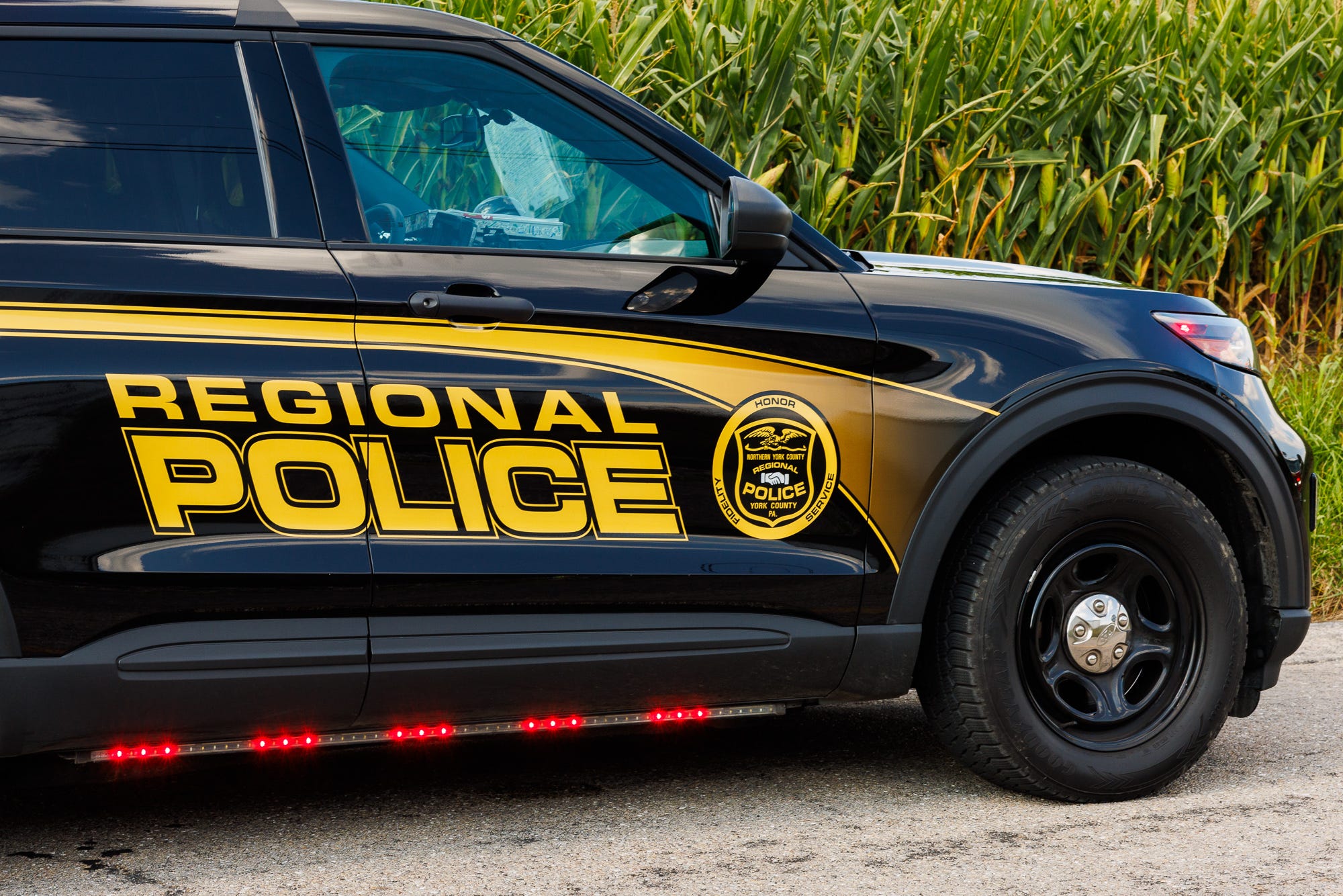 York City man charged with allegedly striking officer with metal rod