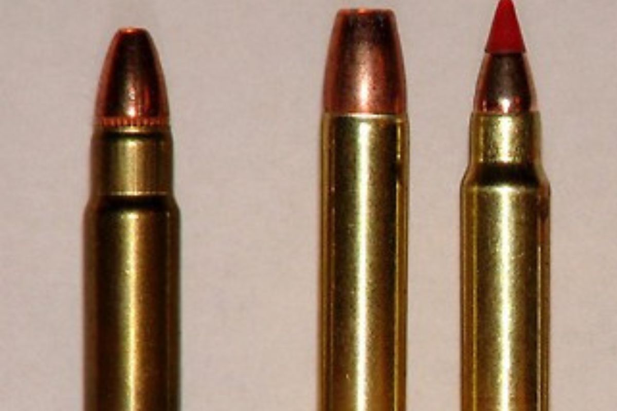 11 obscure calibers that still deserve respect