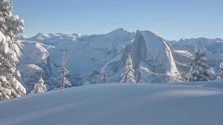 Heavy snow and falling trees shut down Yosemite National Park
