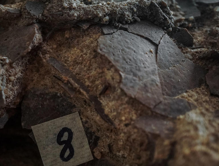 Buried in stone for 150 million years, intact dinosaur eggs found ...