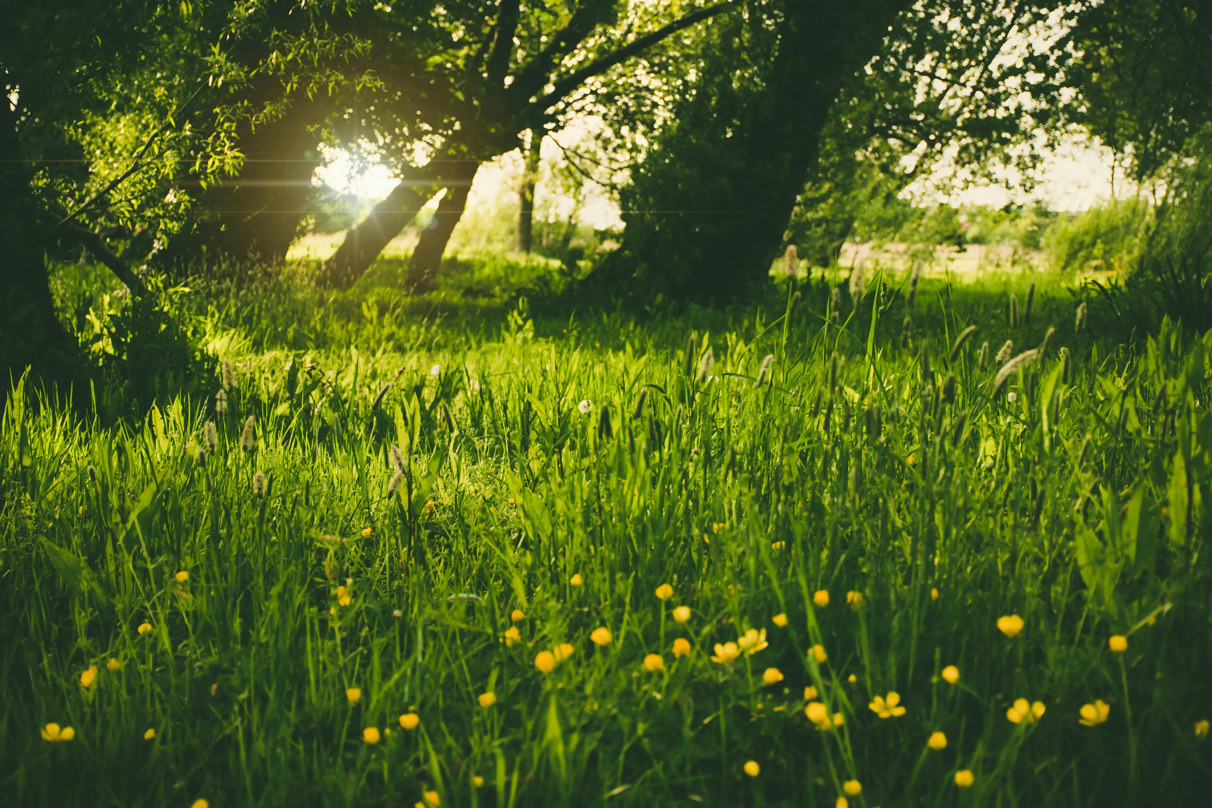 12 natural changes that happened every spring