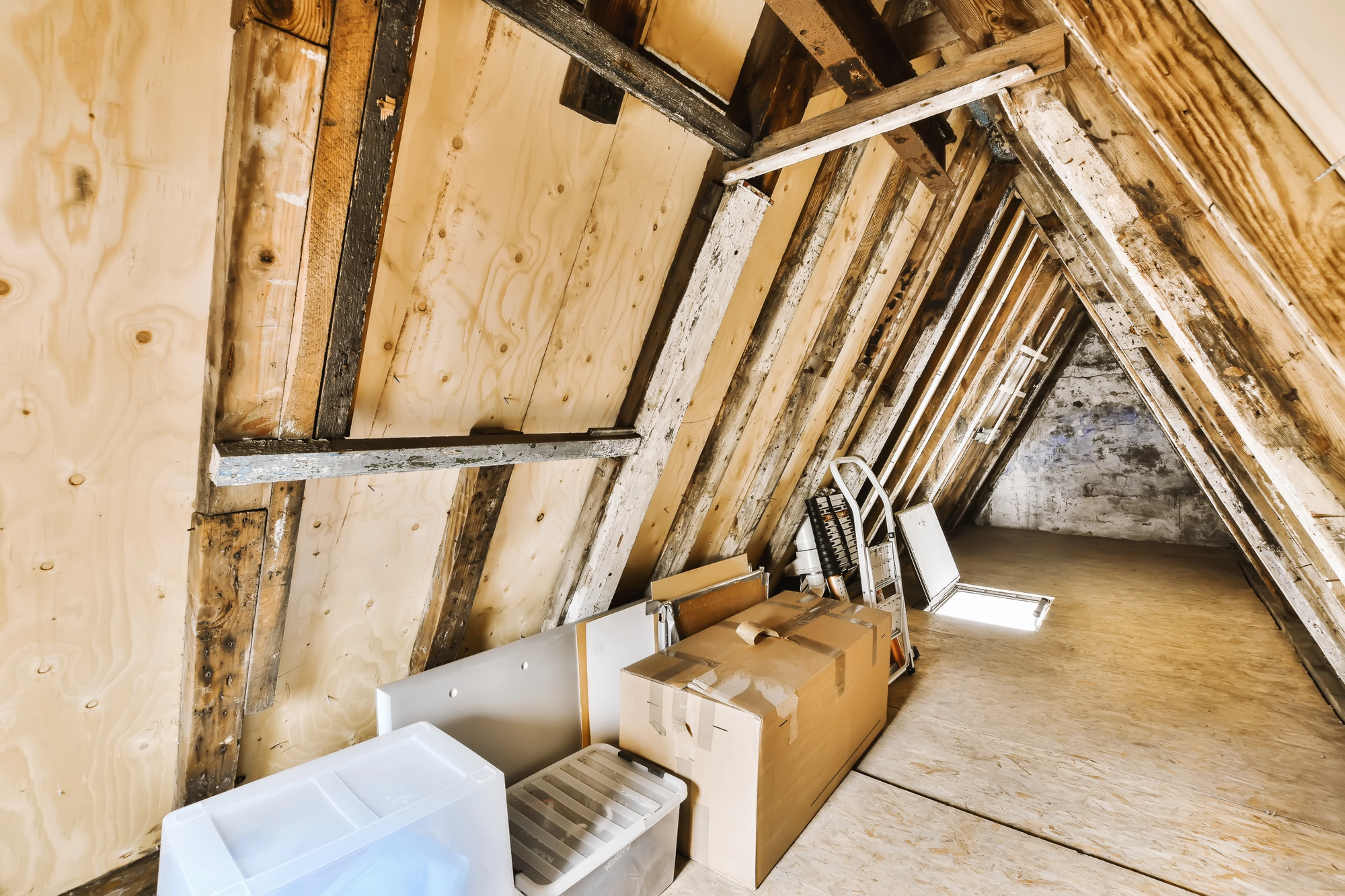 Bizarre things people actually found in old attics