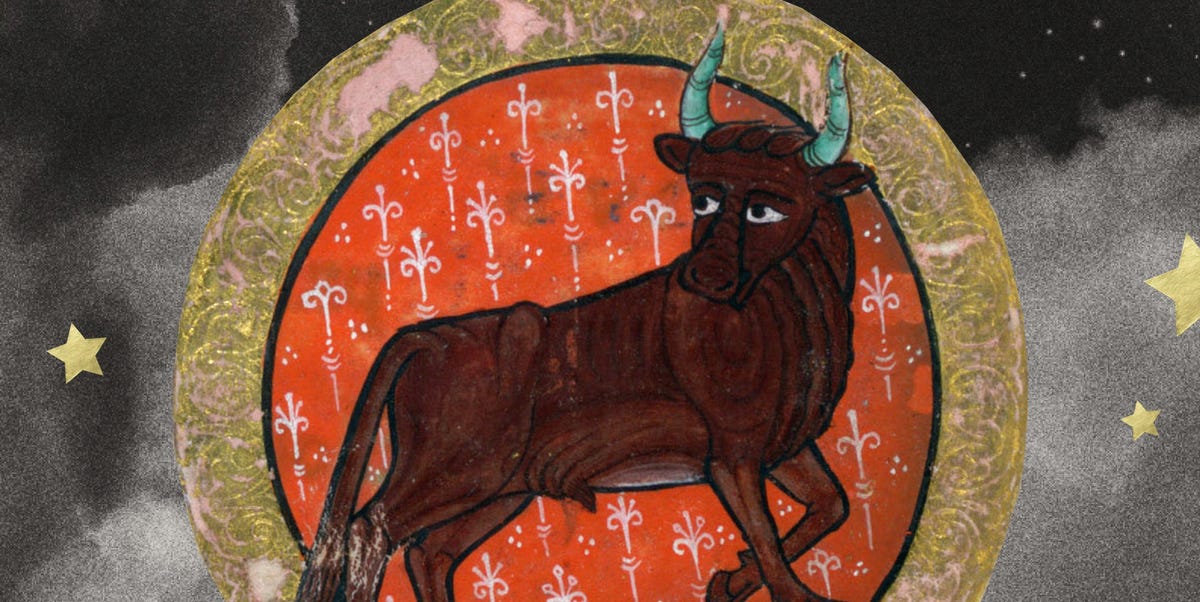 Why you never want to betray a Taurus