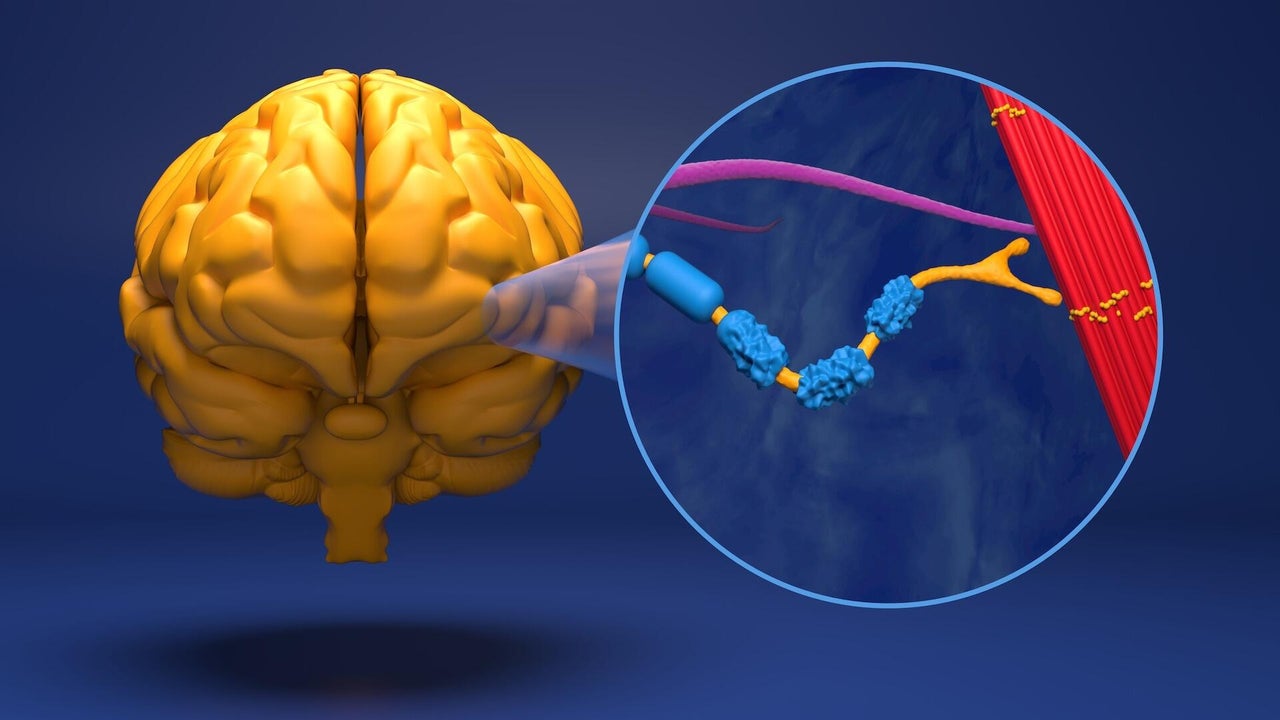 What is ALS? Here's what's known about the neurodegenerative disease