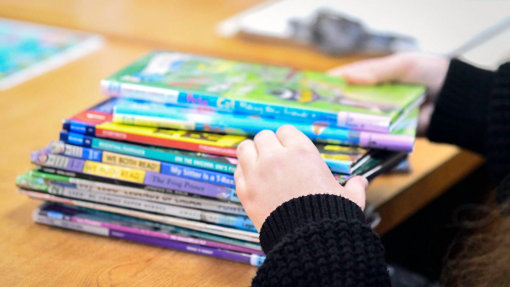 Book Bonanza in Grand Crossing helping young people embrace reading