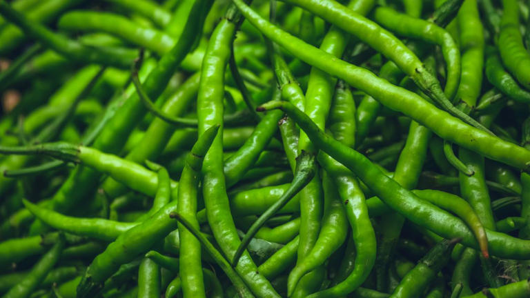 Which country is the largest producer of green chillies in the world?