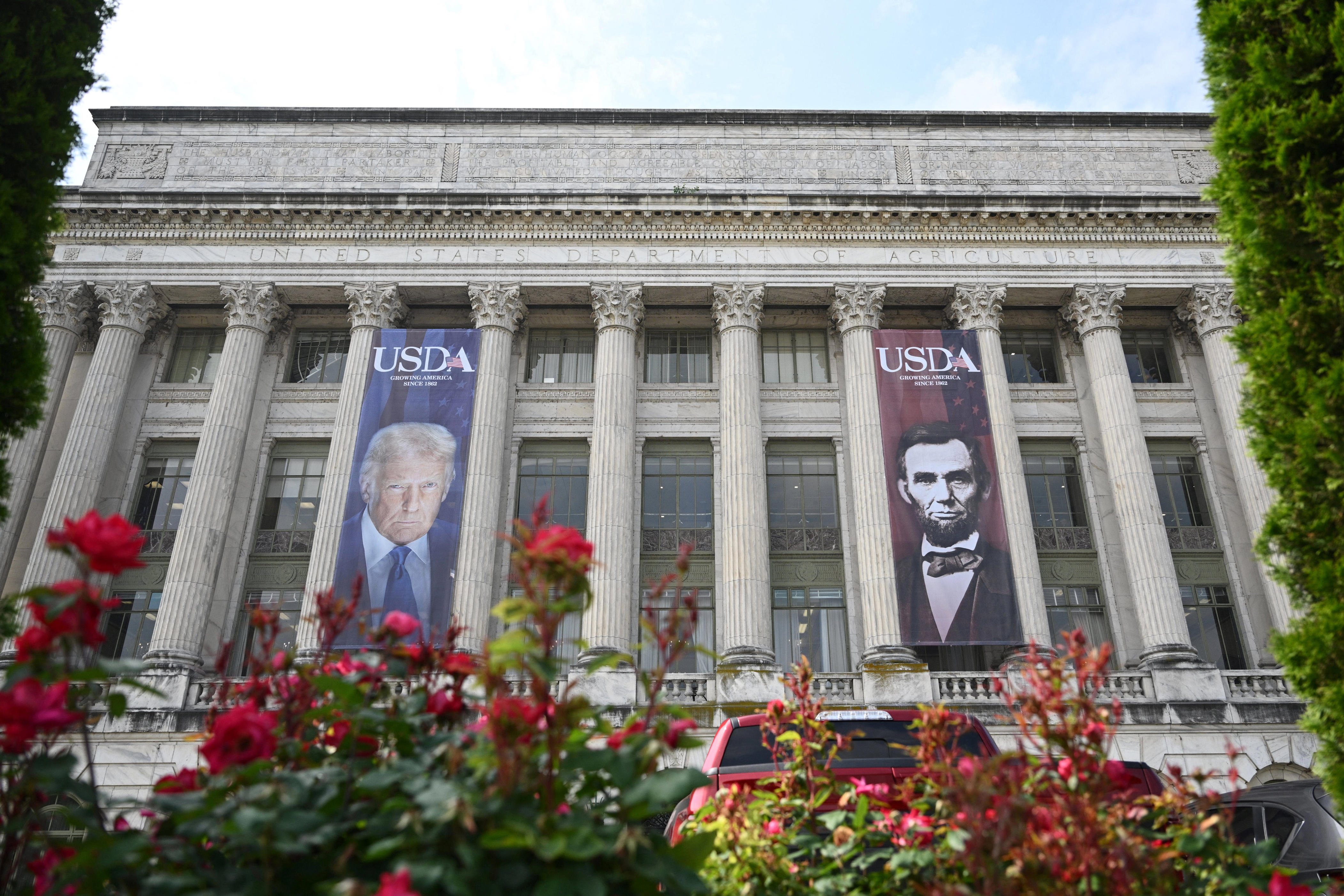 Giant banners of Trump appear on government buildings