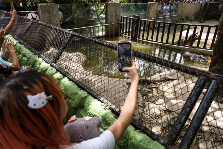 Moo Deng fans concerned over viral pygmy hippo’s shocking living ...
