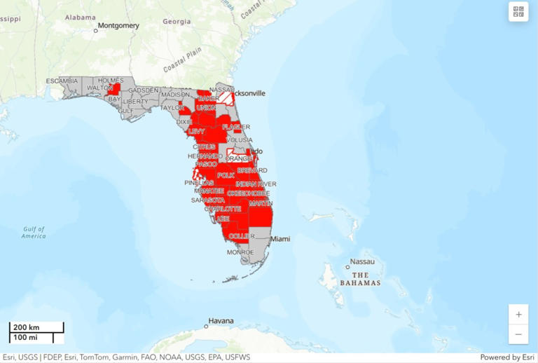 Florida map shows where wildfires are exploding