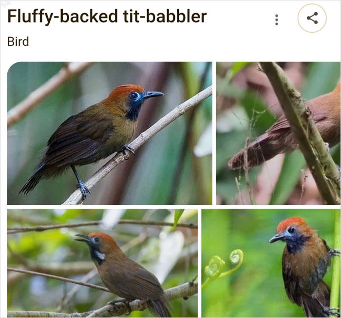 26 animals with names so inappropriate, you might think the scientists ...