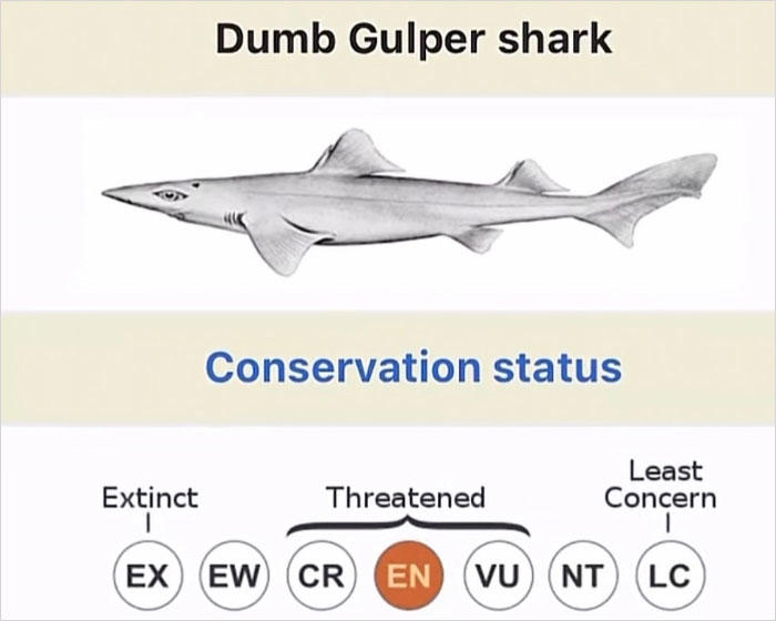 26 animals with names so inappropriate, you might think the scientists ...