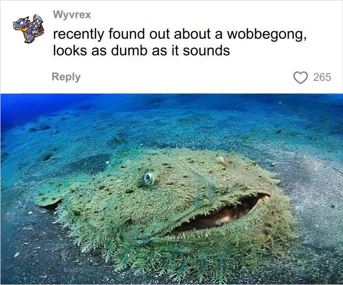 26 animals with names so inappropriate, you might think the scientists ...